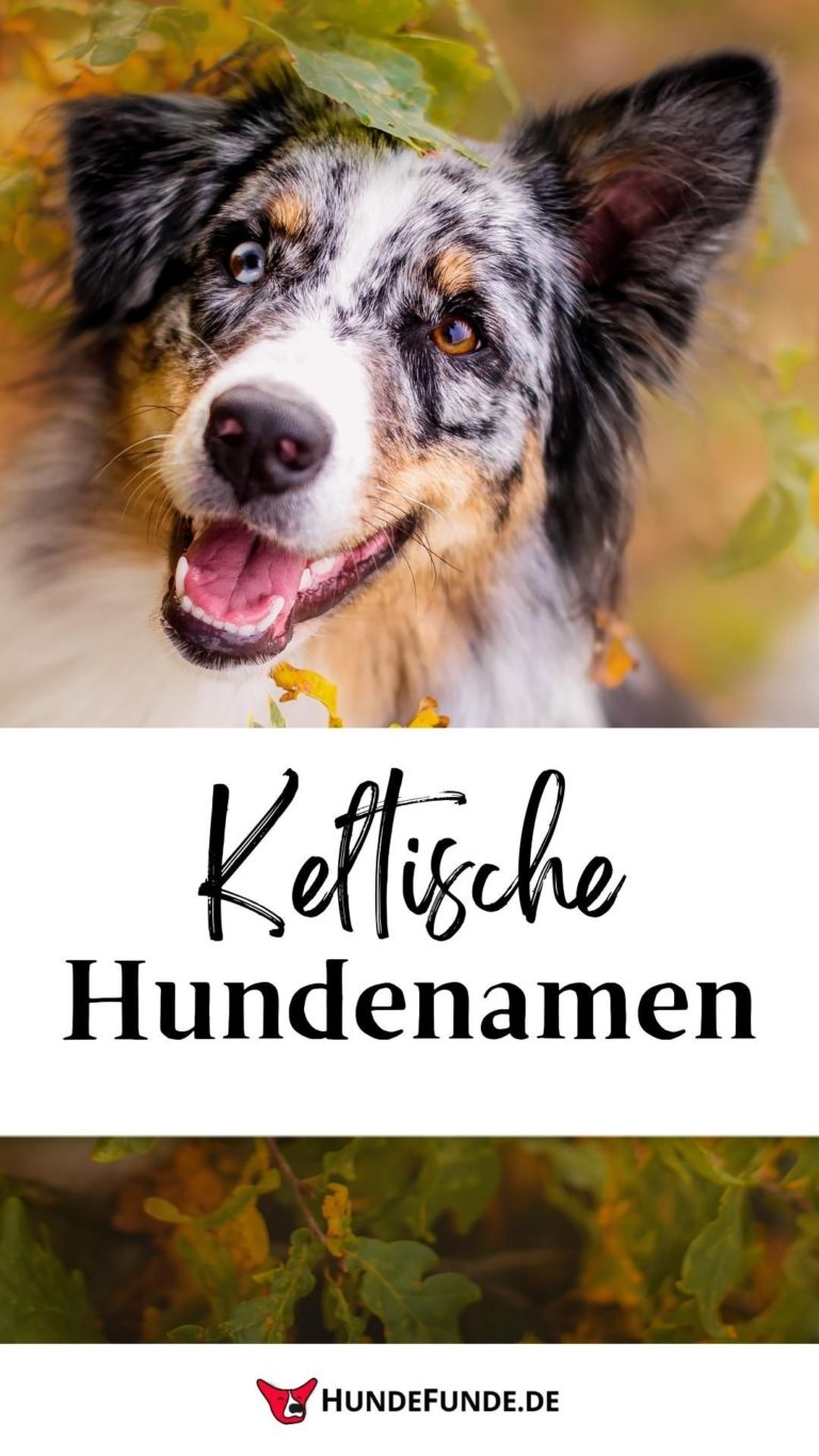 Wunderbar Hundenamen Bedeutung Gluck Ebenbild